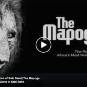Brothers in Blood: The Mapogo Lions - Secret Africa